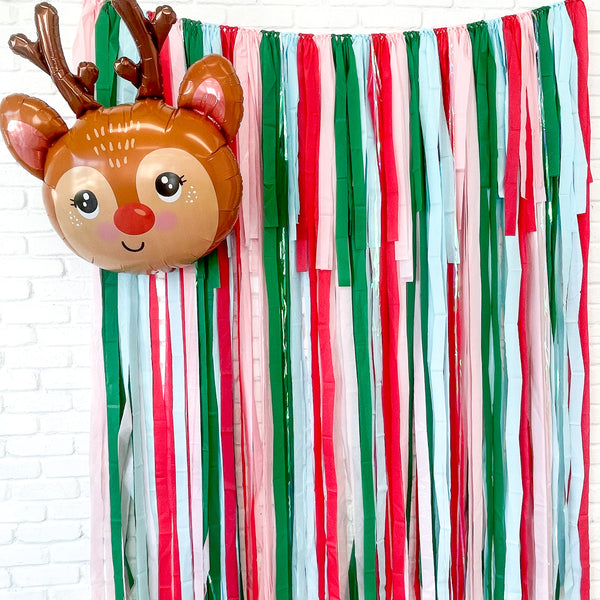 Holiday Fringe Backdrop| Christmas – Partyinapinch