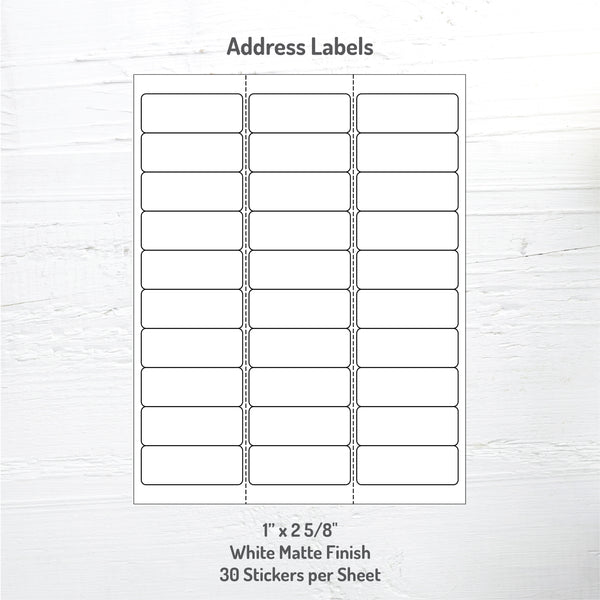 Christmas Snow Globe Address Labels| Personalized – Partyinapinch